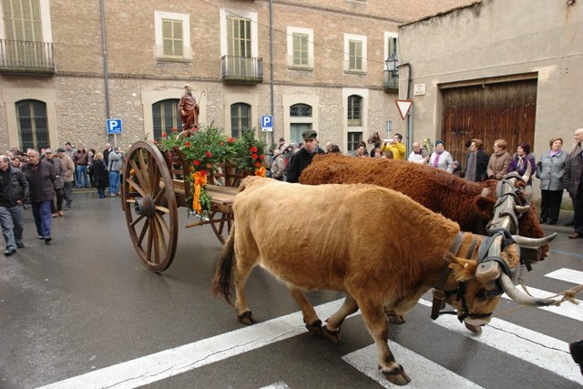 Els Tonis de Manlleu preparen el Passant dels Tres Tombs